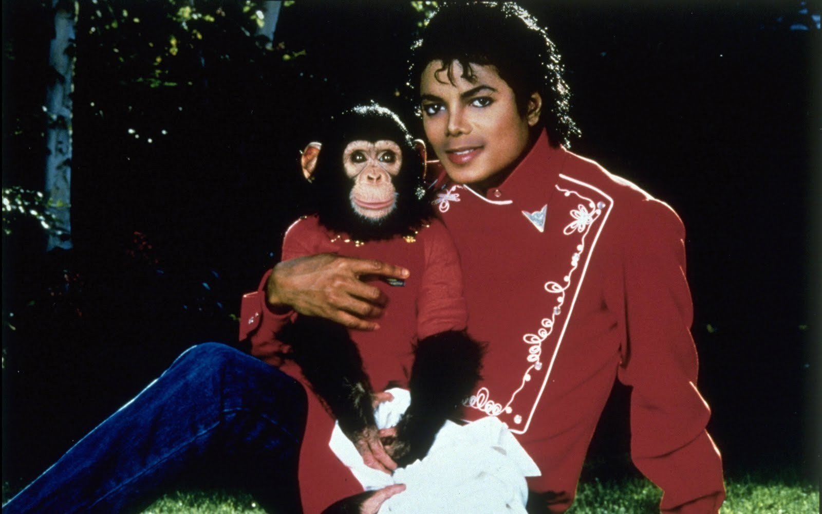 Bubbles, el chimpancé de Michael Jackson tendrá su propia película