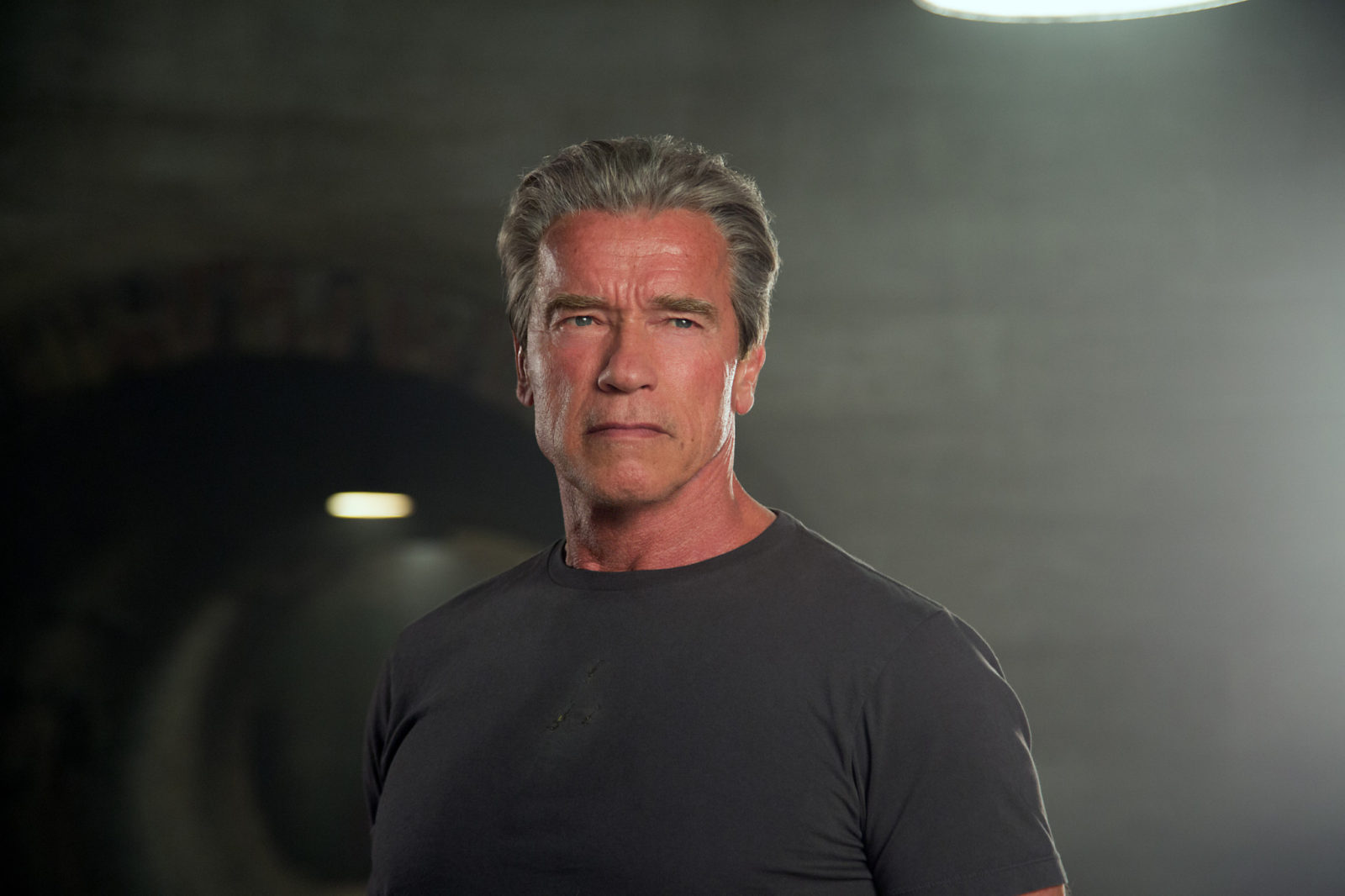 ¡Is Back! Arnold Schwarzenegger confirma el regreso de Terminator