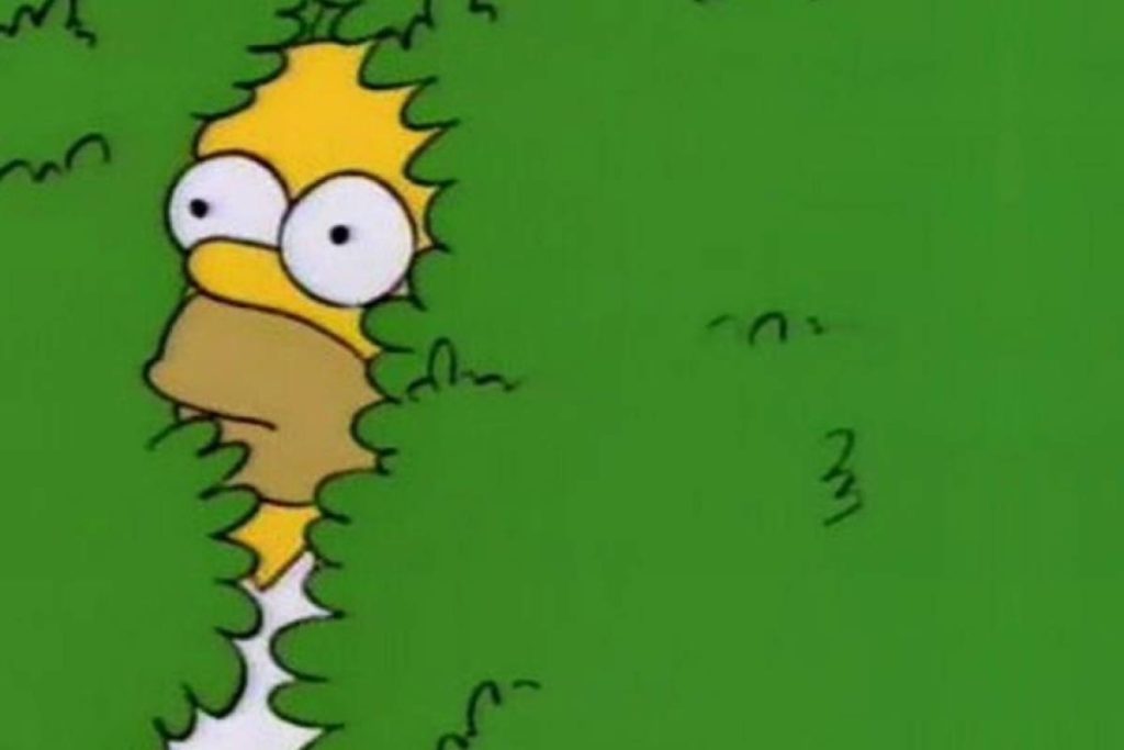 Homero utiliza un meme de sí mismo en un nuevo capítulo de los Simpson