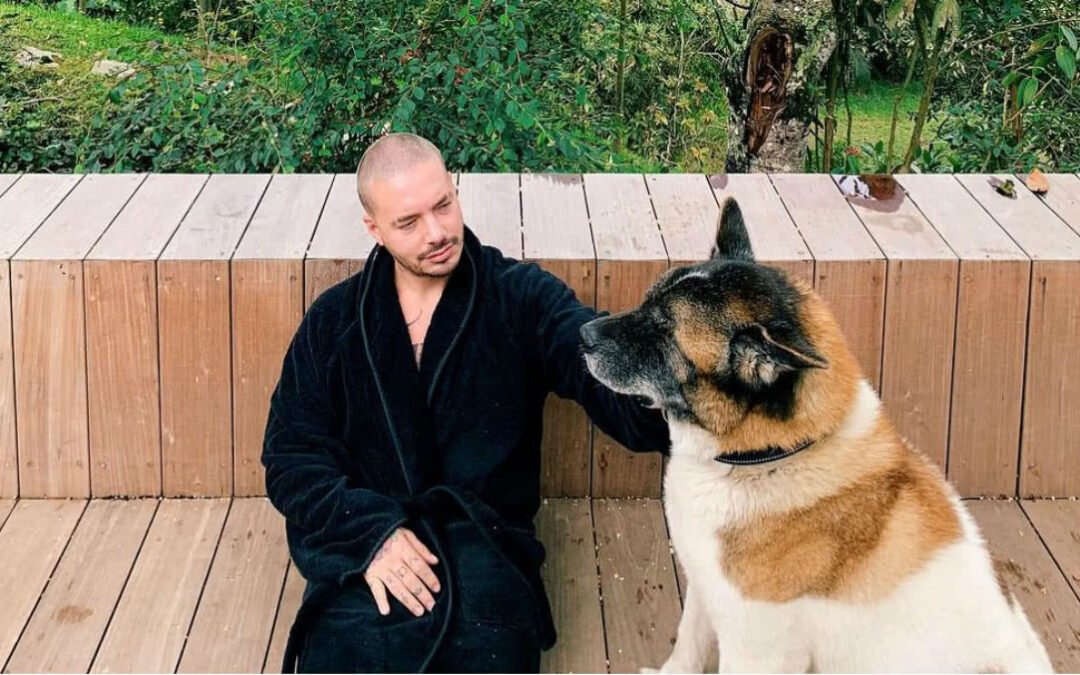 JBalvin se despidió de Enzo, el perrito que lo acompañó por 14 años